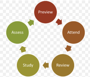 What Are The 3 Secret Study Tips For Students With Study Cycle ...